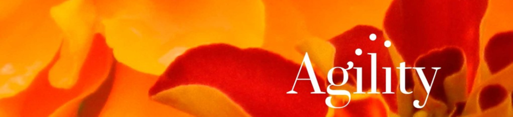 Market Research | Audits & Analysis | Agility Communication